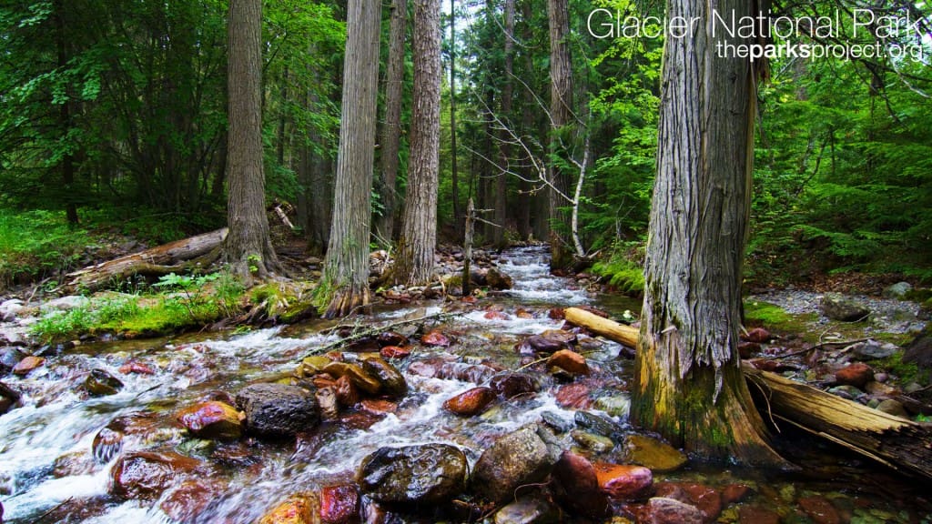 Wallpaper – Snyder Creek | The Parks Project
